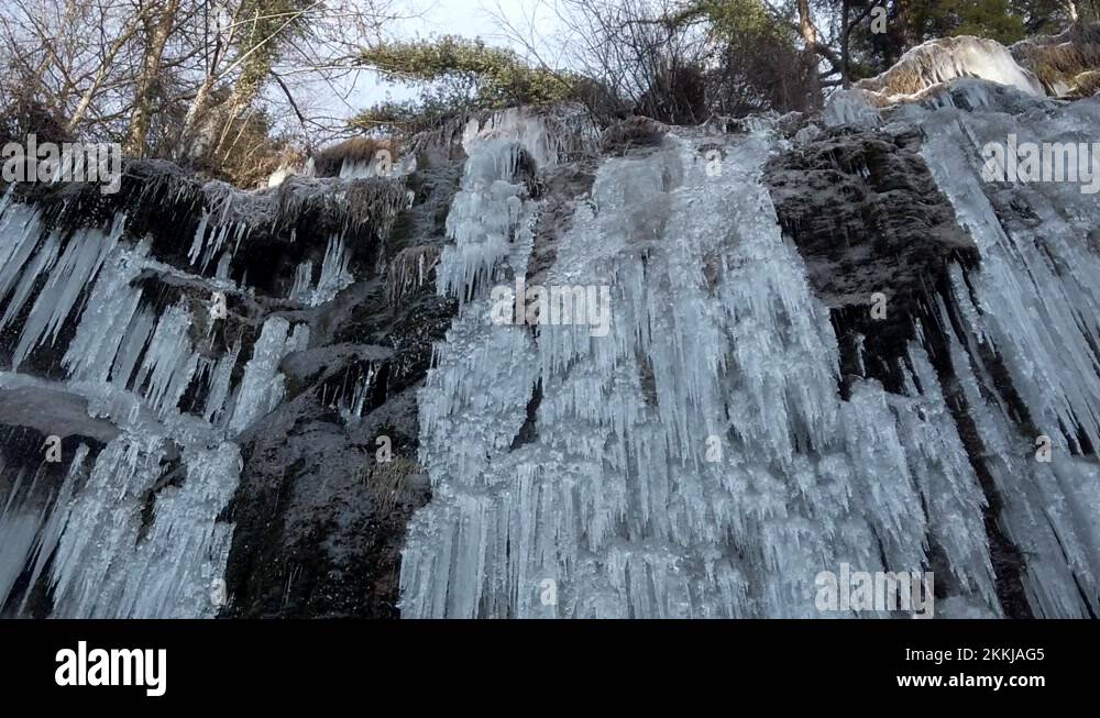 Stone wall jungle Stock Videos & Footage - HD and 4K Video Clips - Alamy