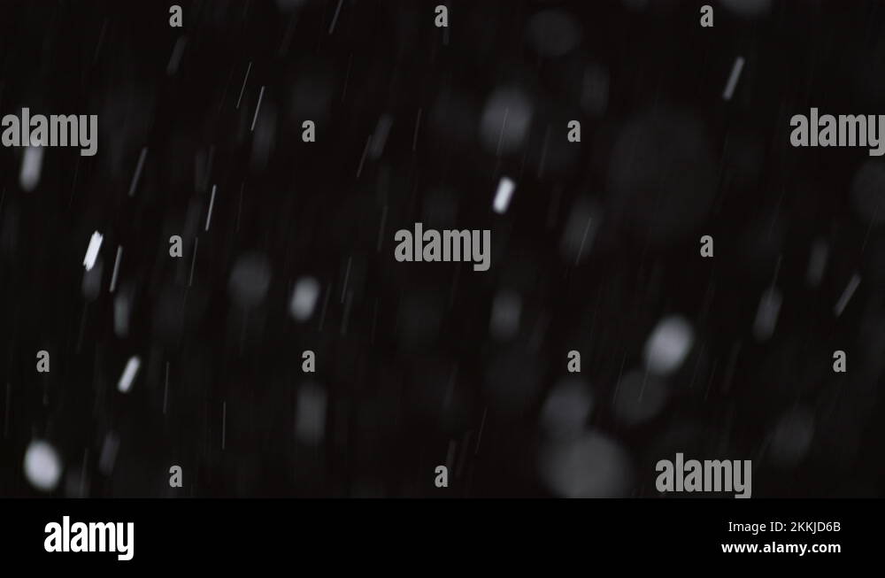Real falling snow isolated on Stock Videos & Footage - HD and 4K Video ...