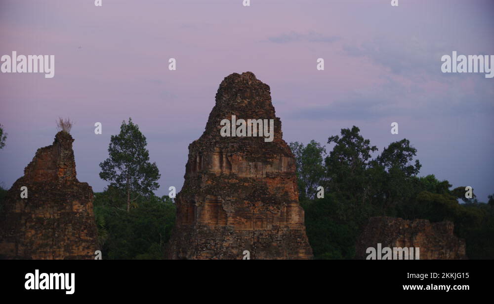 Cows at Prasat Pre Rup Temple in Angkor Wat, Siem Reap, Cambodia Stock ...