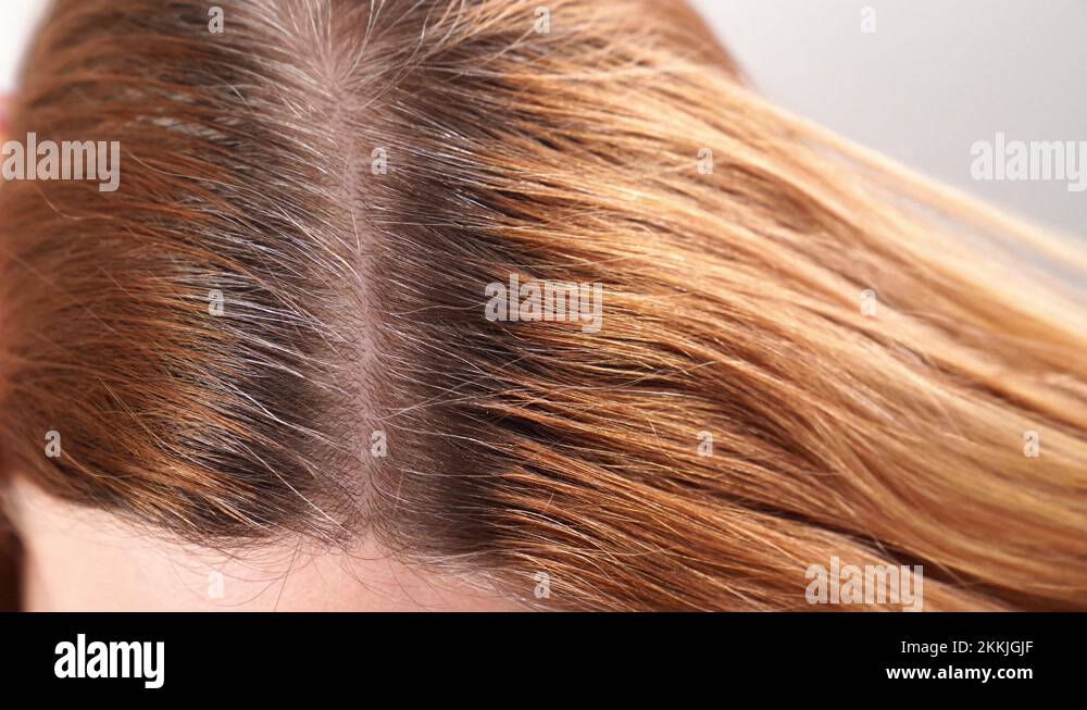 grown after staining the gray roots of hair on the head of a woman ...