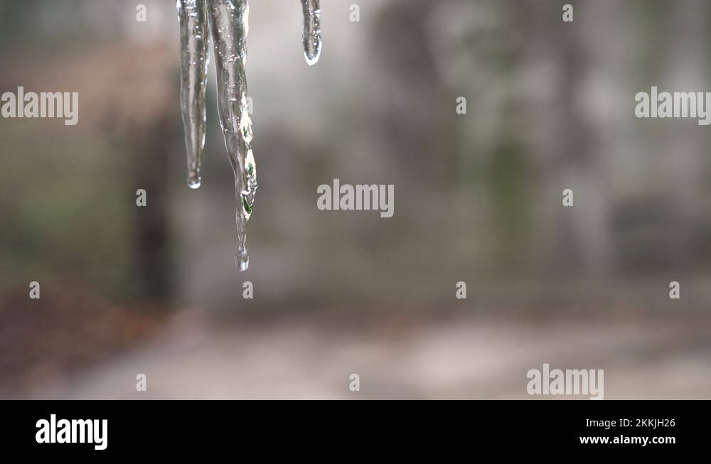 Ice melting water drops Stock Videos & Footage - HD and 4K Video Clips ...
