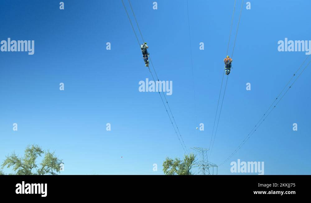 Bird flight diverters Stock Videos & Footage - HD and 4K Video Clips ...