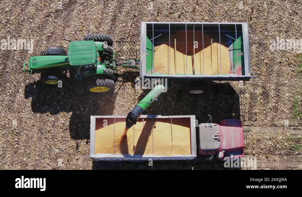 Farm tractor and grain cart filling tandem truck with ripe corn seed ...