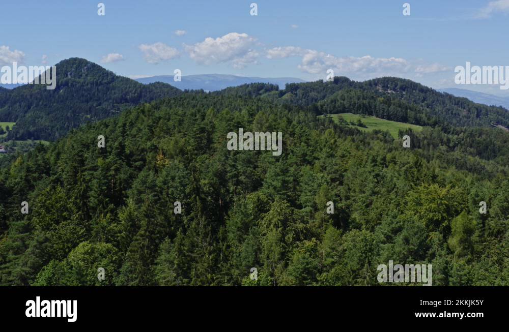 Circle of greenery Stock Videos & Footage - HD and 4K Video Clips - Alamy