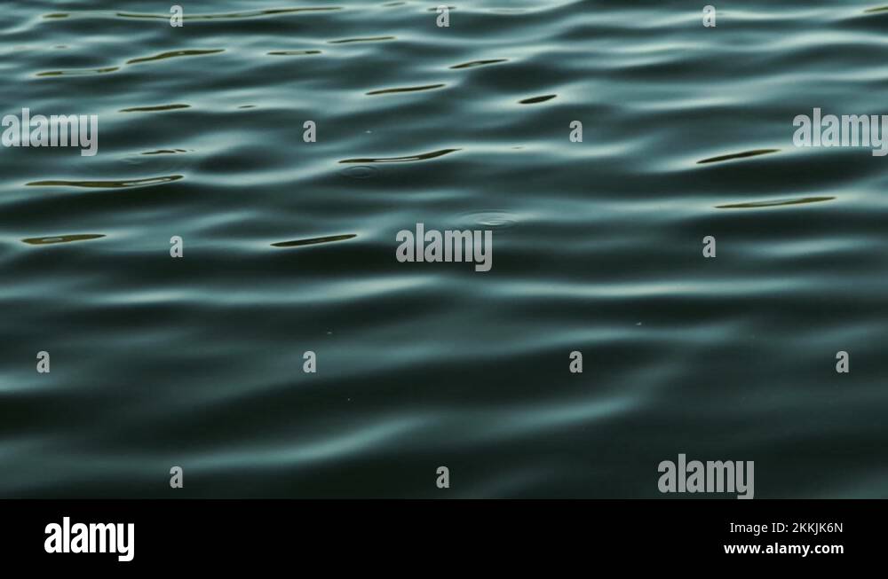 Close up rippling blue lake surface with subtle droplets hitting ...