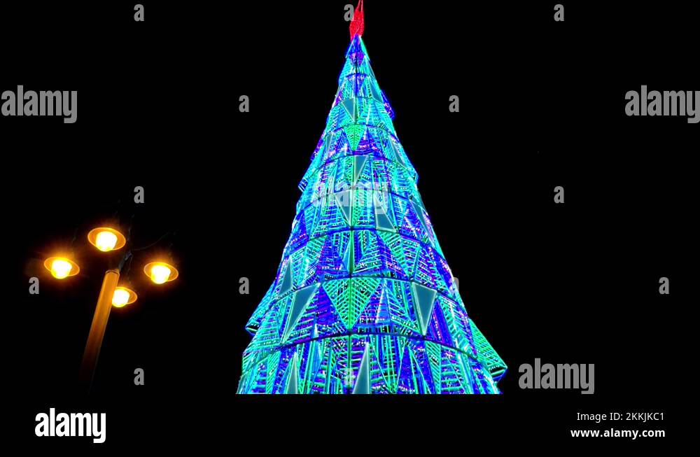 Triangular shape tree Stock Videos & Footage - HD and 4K Video Clips ...