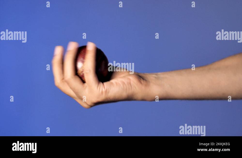 Hand holding cricket ball Stock Videos & Footage - HD and 4K Video ...