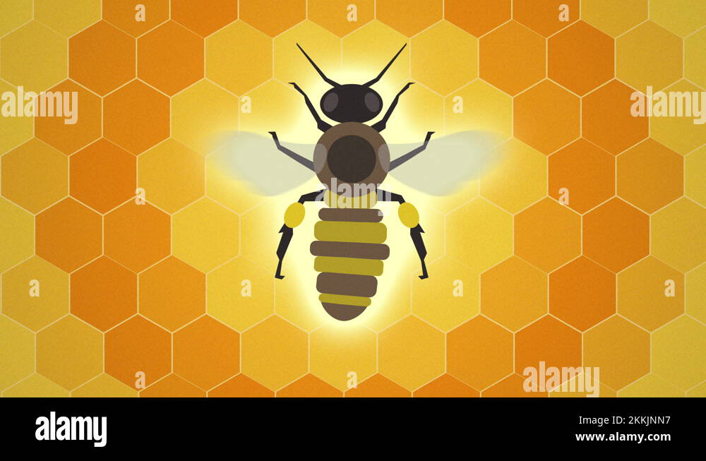 Honey Bee Hovering over Pulsing Pattern of Hexagonal Honeycomb ...