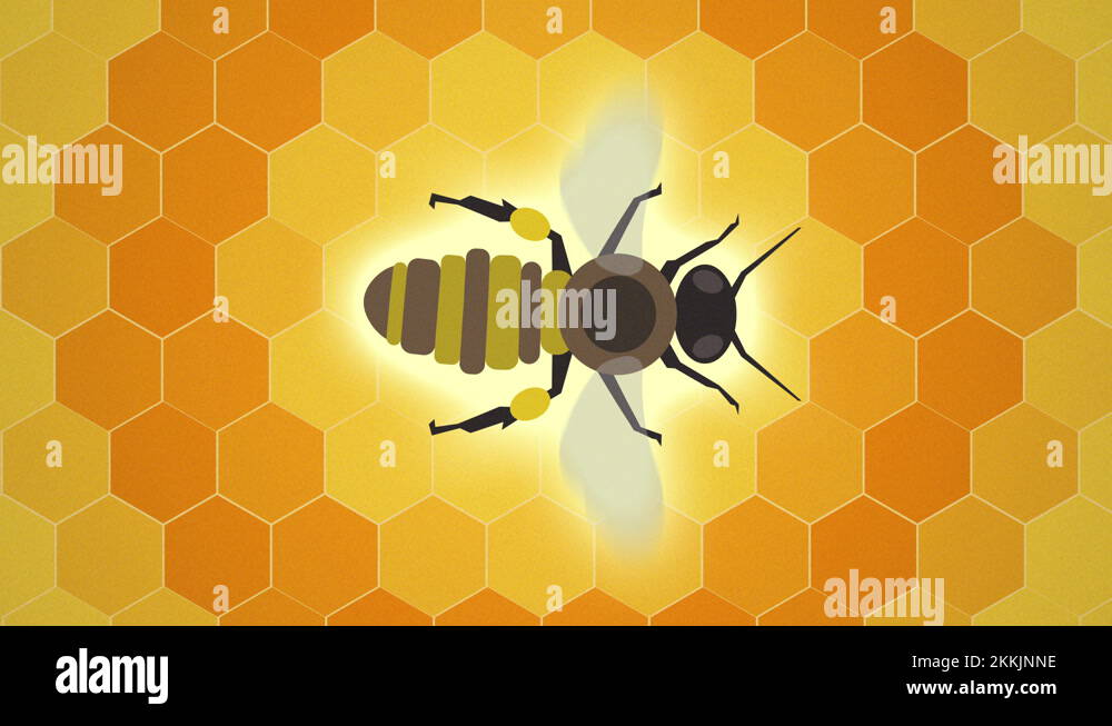 Vertical Video, Honey Bee Hovering over Pulsing Pattern of Hexagonal ...