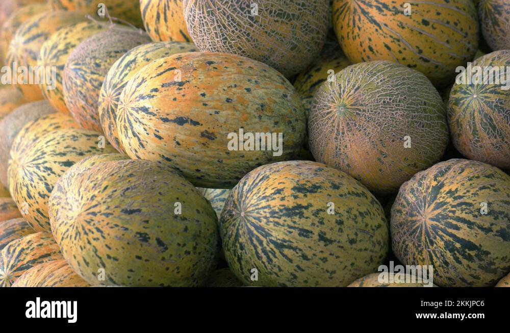 Melons market stall Stock Videos & Footage - HD and 4K Video Clips - Alamy