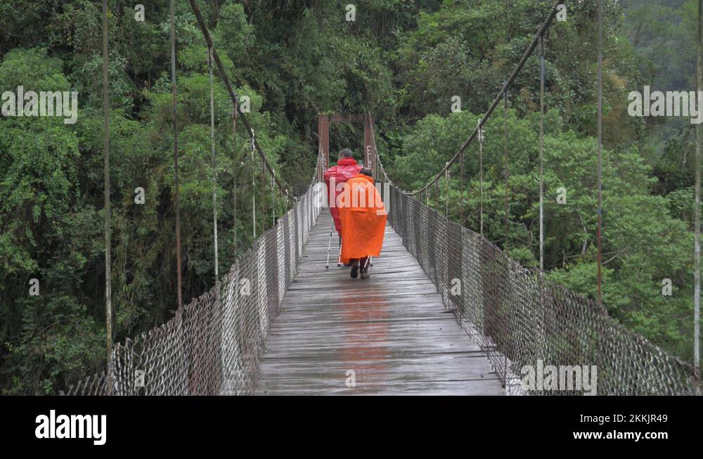 Inca bridge road Stock Videos & Footage - HD and 4K Video Clips - Alamy