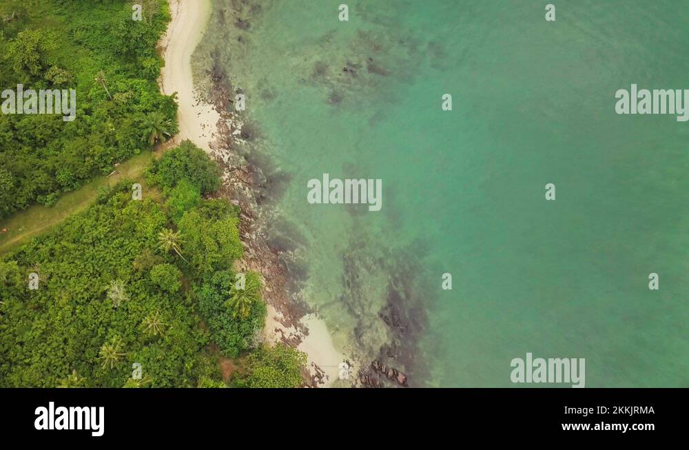 Beach greenery Stock Videos & Footage - HD and 4K Video Clips - Alamy