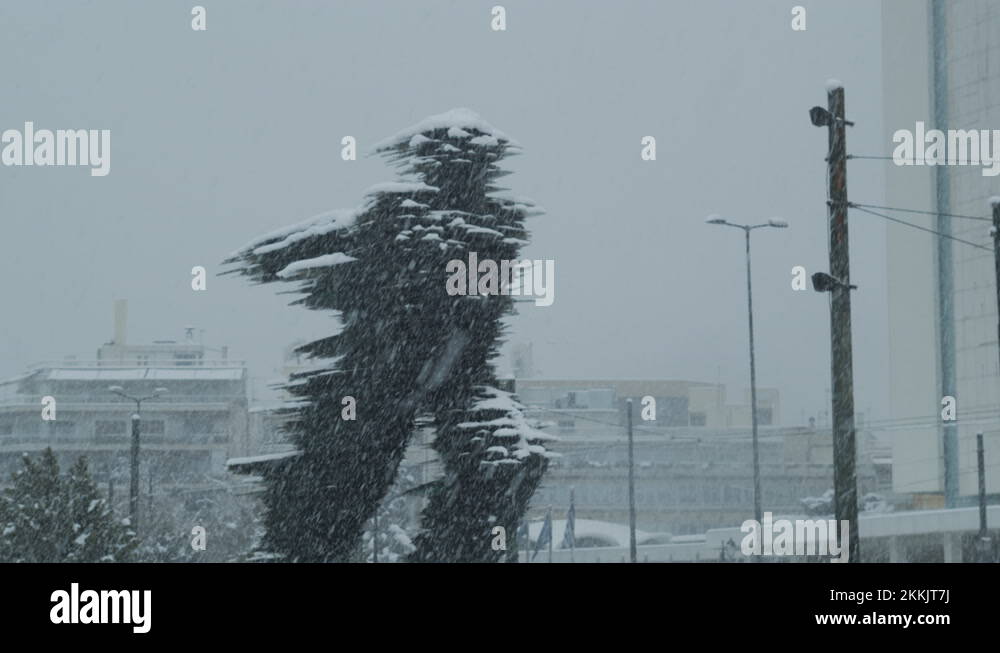 Very rare statue Stock Videos & Footage - HD and 4K Video Clips - Alamy