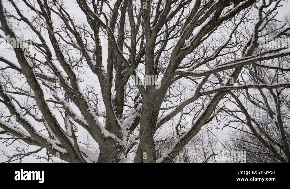 Cable runs Stock Videos & Footage - HD and 4K Video Clips - Alamy