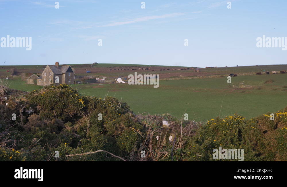 Field farm devon Stock Videos & Footage - HD and 4K Video Clips - Alamy