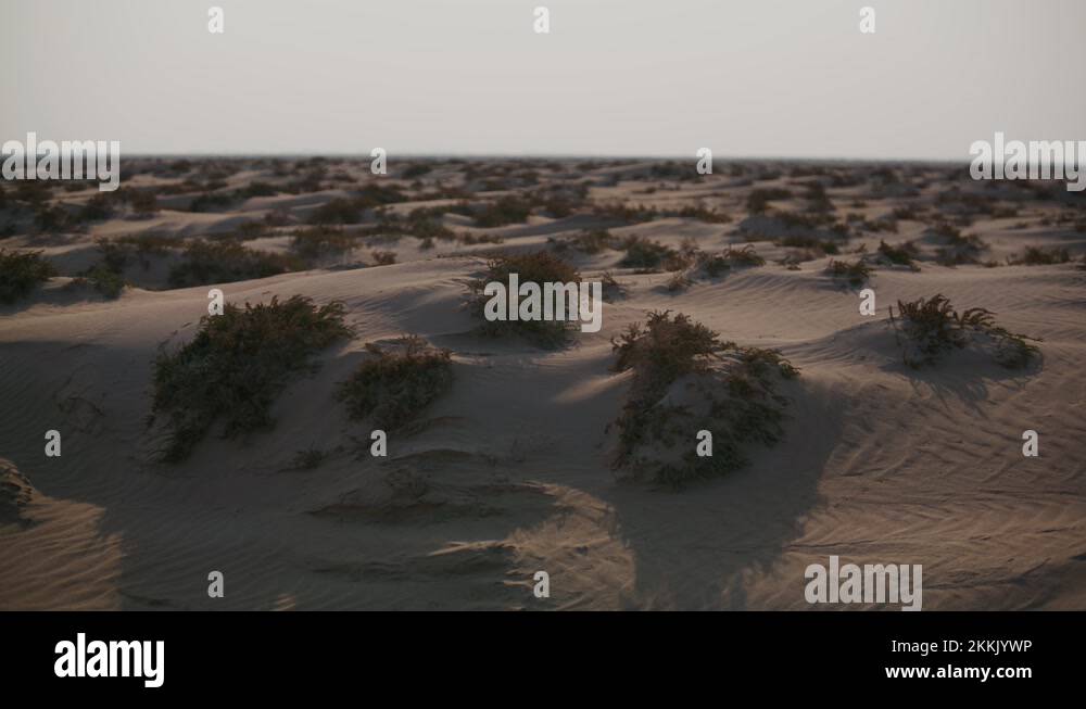 Sand dunes qatar Stock Videos & Footage - HD and 4K Video Clips - Alamy