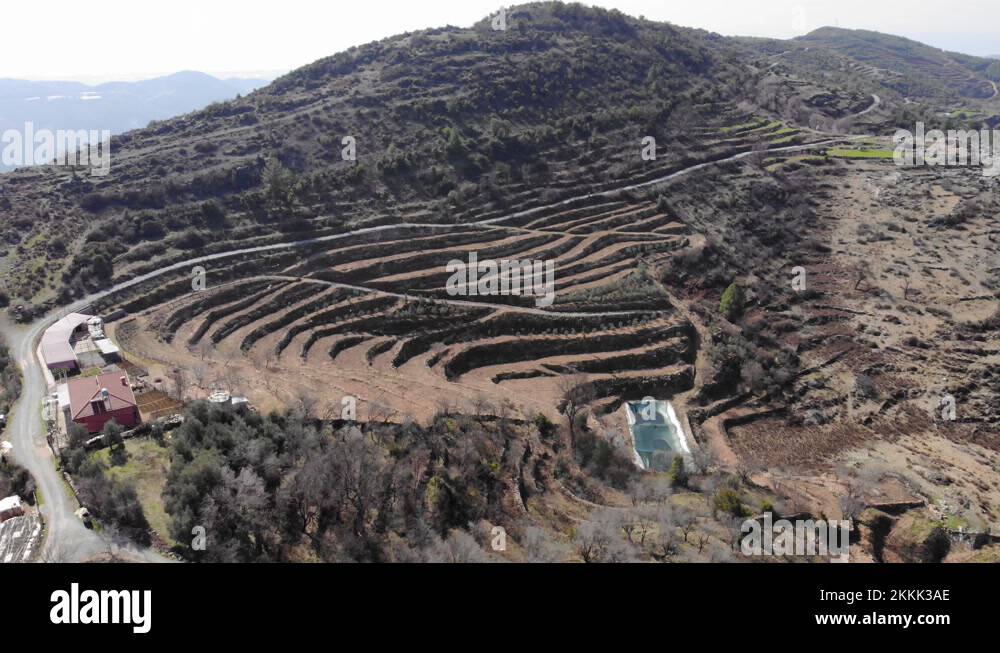 Banana curve Stock Videos & Footage - HD and 4K Video Clips - Alamy