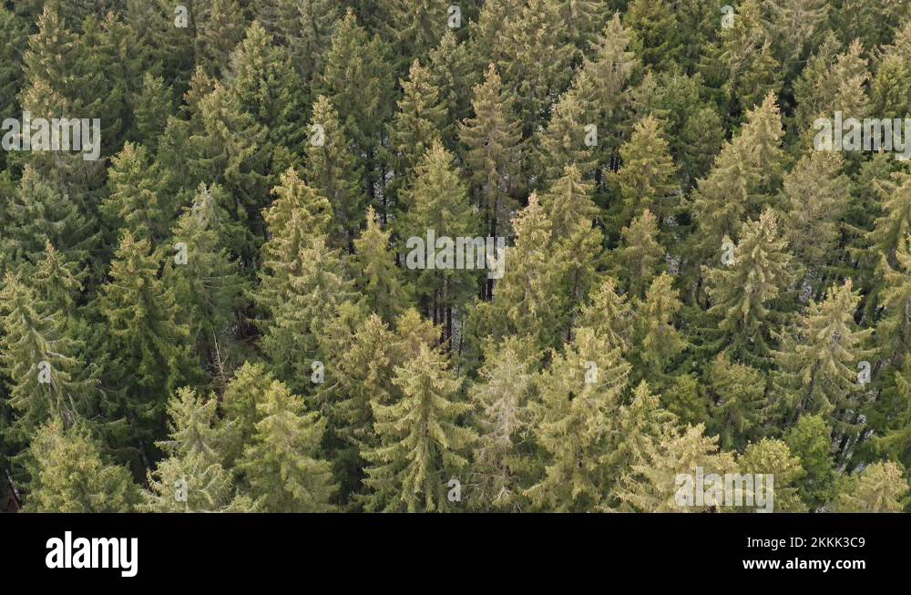 Pure environment Stock Videos & Footage - HD and 4K Video Clips - Alamy