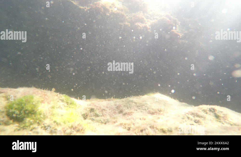 Turbidity Stock Videos & Footage - HD and 4K Video Clips - Alamy
