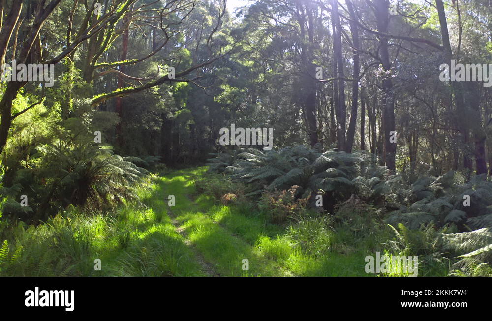 Nature conservation areas Stock Videos & Footage - HD and 4K Video ...