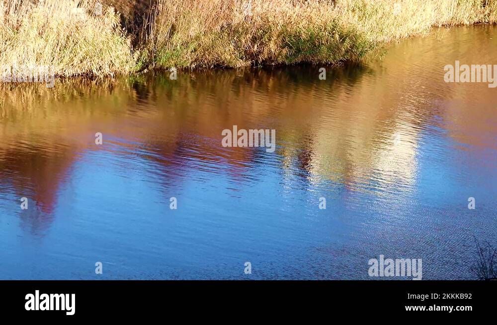 River slope Stock Videos & Footage - HD and 4K Video Clips - Alamy