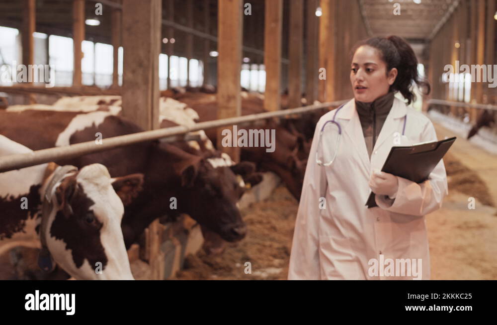 Female barn Stock Videos & Footage - HD and 4K Video Clips - Alamy