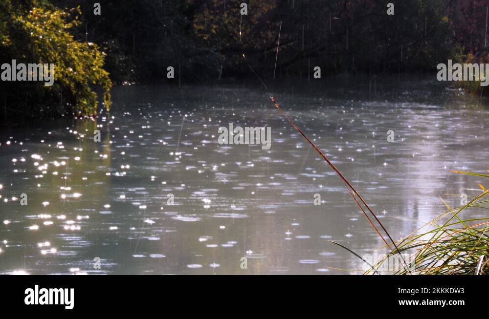 4K shot of the rain hitting the water surface of a river making ...