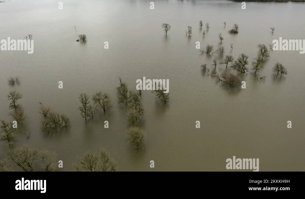 Trees submerged in flooded landscape Stock Videos & Footage - HD and 4K ...