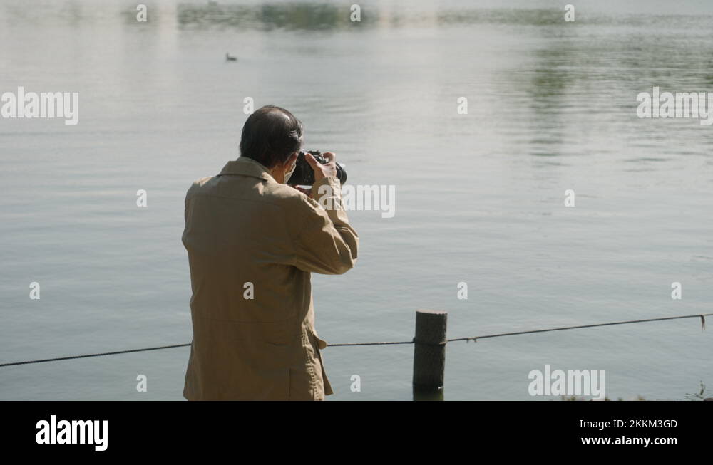 Photos birds Stock Videos & Footage - HD and 4K Video Clips - Alamy