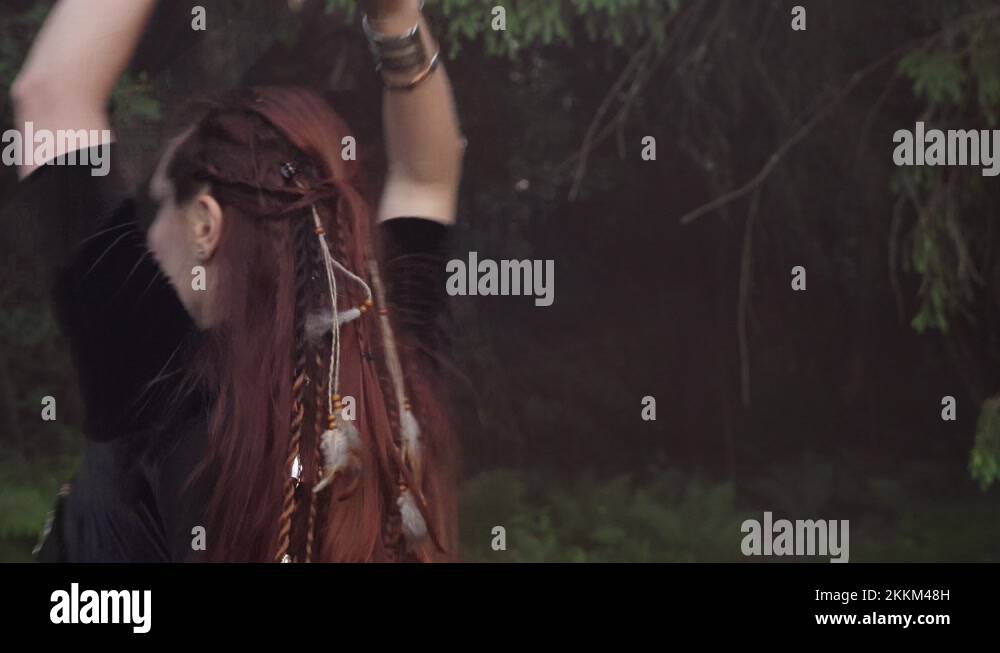 Medieval dancing painting Stock Videos & Footage - HD and 4K Video ...