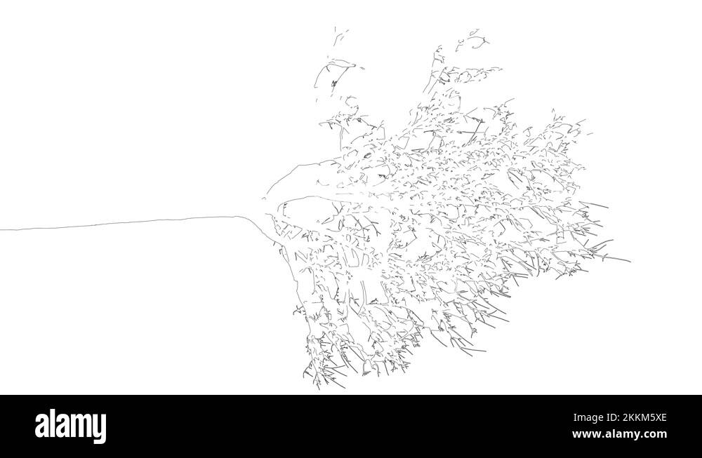 Tree branch outline Stock Videos & Footage - HD and 4K Video Clips - Alamy