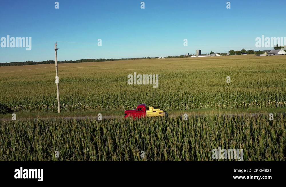 Cornfields aerial Stock Videos & Footage - HD and 4K Video Clips - Alamy