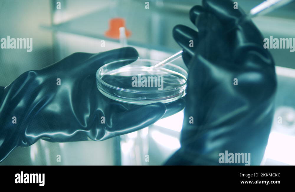 Liquid probe in the hands of a lab specialist wearing gloves Stock ...