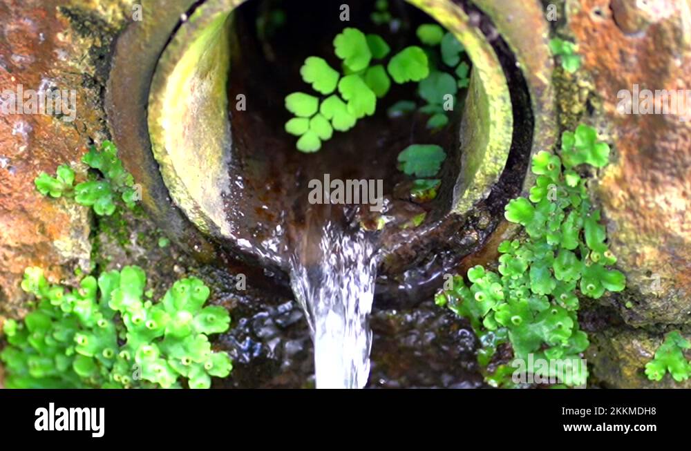 Colonial pipe Stock Videos & Footage - HD and 4K Video Clips - Alamy