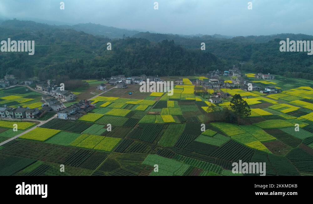 Chinese hill farming Stock Videos & Footage - HD and 4K Video Clips - Alamy