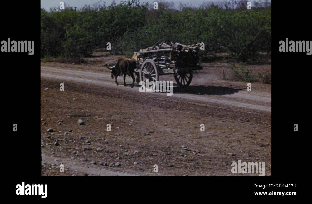 Ruins of cart Stock Videos & Footage - HD and 4K Video Clips - Alamy