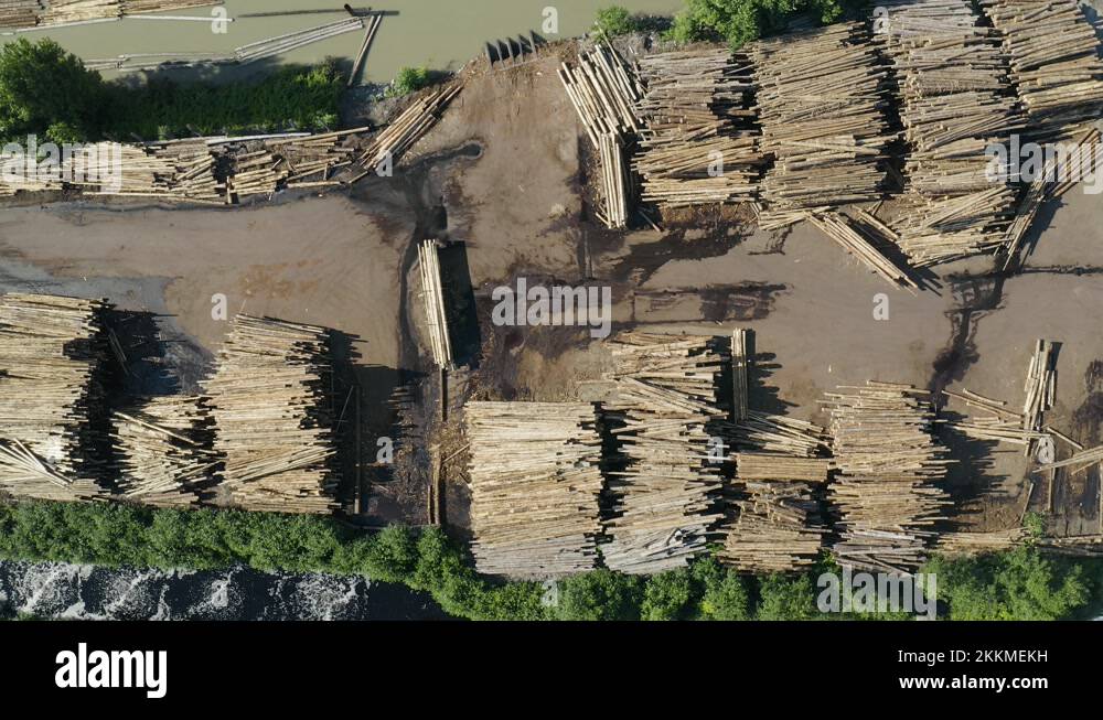 Bird's eye view of endless lumber-stacks of cut down trees. Timber ...