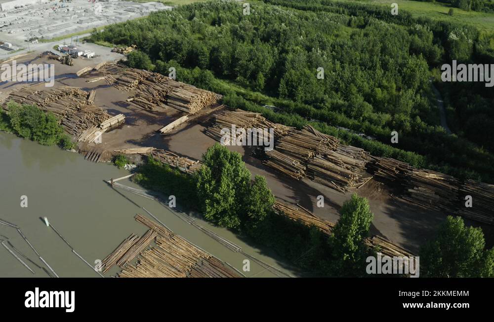 Lumber industry in america Stock Videos & Footage - HD and 4K Video ...