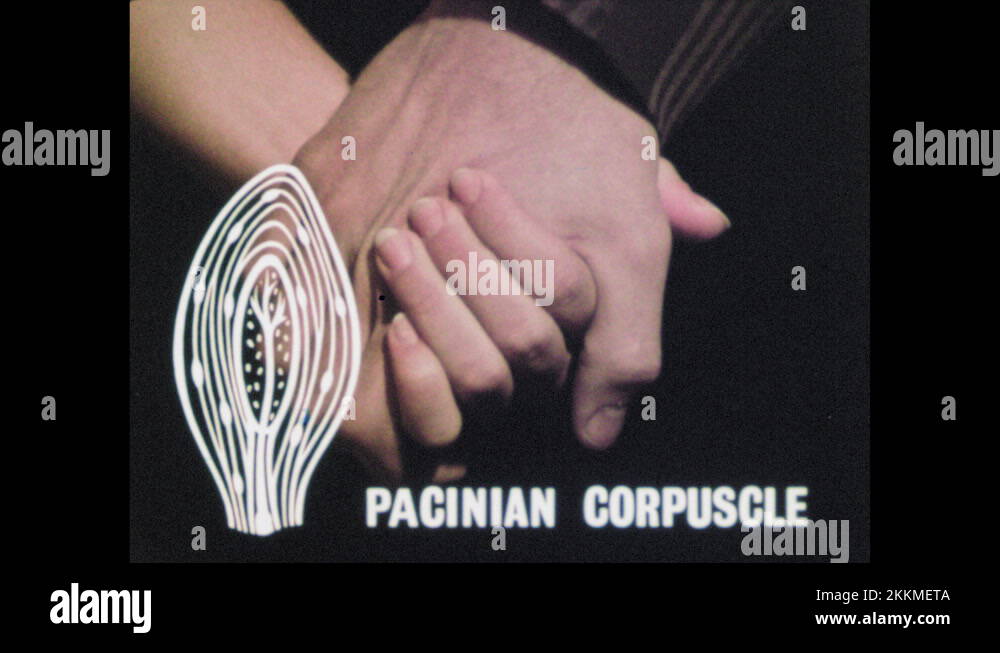 People holding hands illustration Stock Videos & Footage - HD and 4K ...