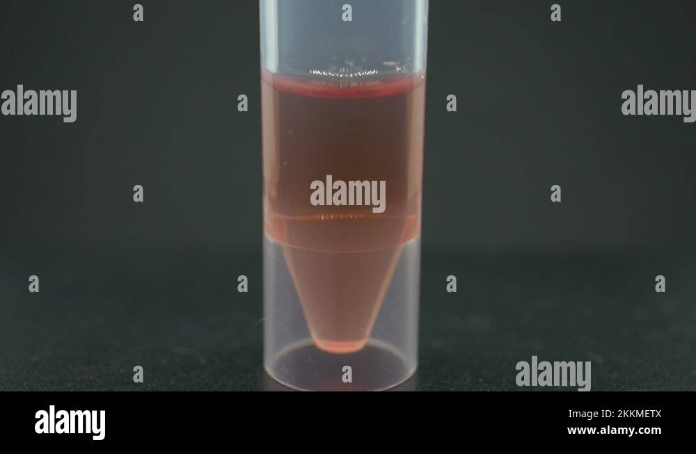 Dipping The Tip Of Nasal Swab Test Sample On Test Tube With ...