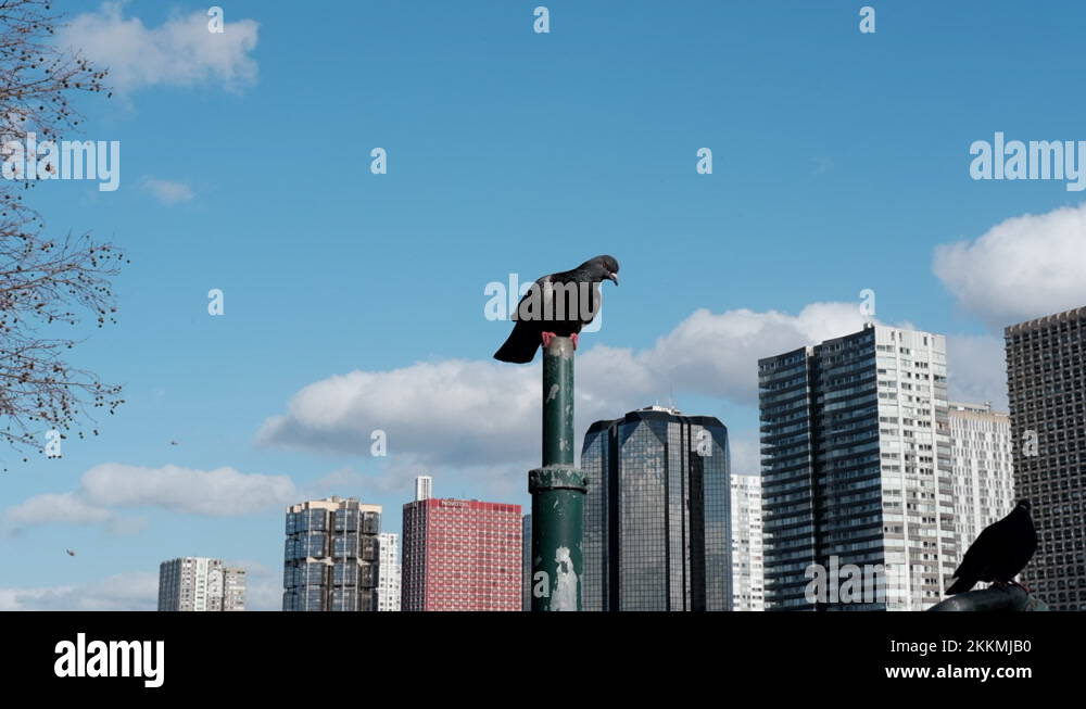 Paris high rise buildings Stock Videos & Footage - HD and 4K Video ...