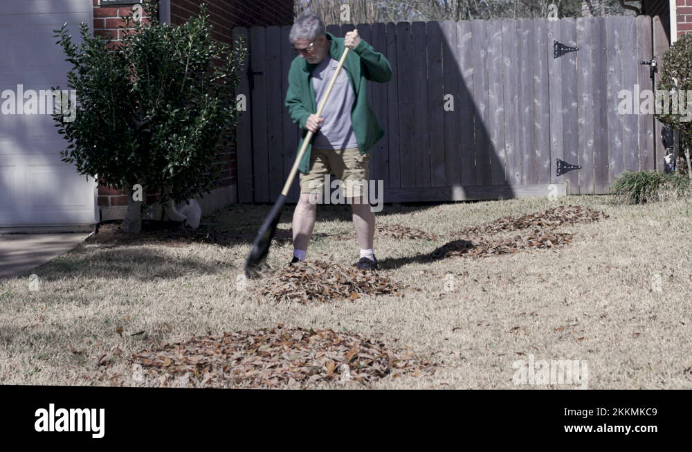Racking leaves Stock Videos & Footage - HD and 4K Video Clips - Alamy