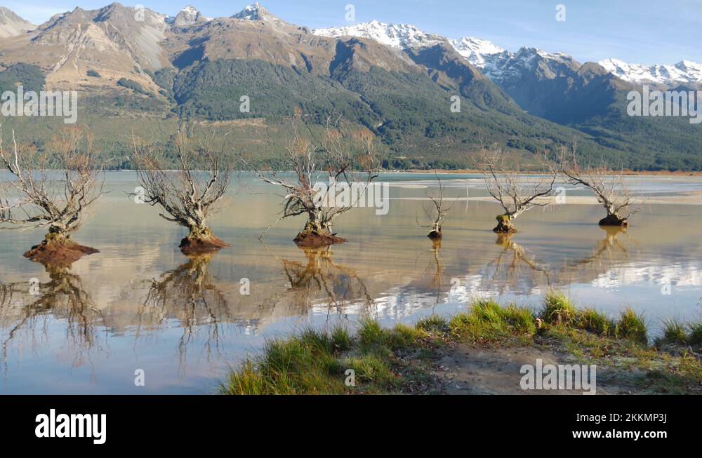 Famous willow trees glenorchy Stock Videos & Footage - HD and 4K Video ...