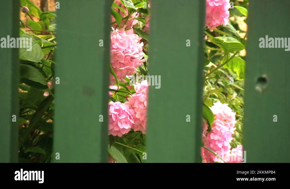Green gate Stock Videos & Footage - HD and 4K Video Clips - Alamy