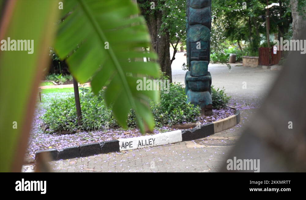 Zoo road sign Stock Videos & Footage - HD and 4K Video Clips - Alamy