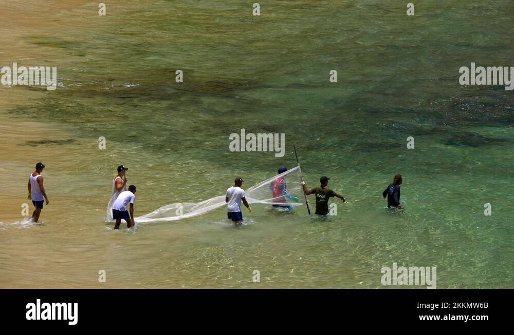 Oil spill workers cleaning Stock Videos & Footage - HD and 4K Video ...