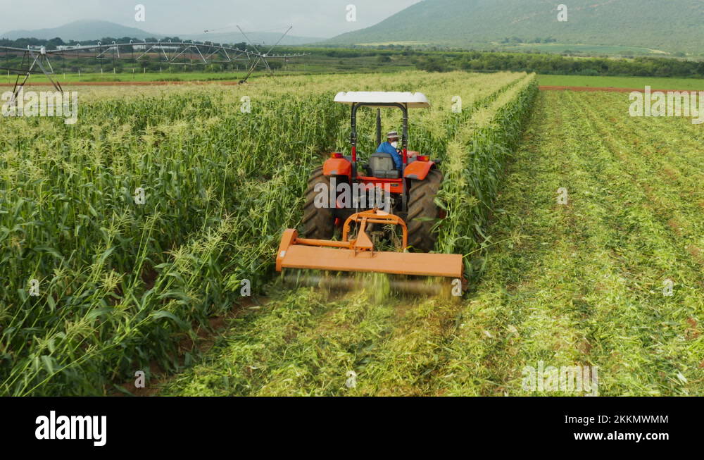 Aerial.Organic farming.Tractor mulching composting organic matter back ... Aerial.Organic farming.Tractor mulching composting organic matter back ...
