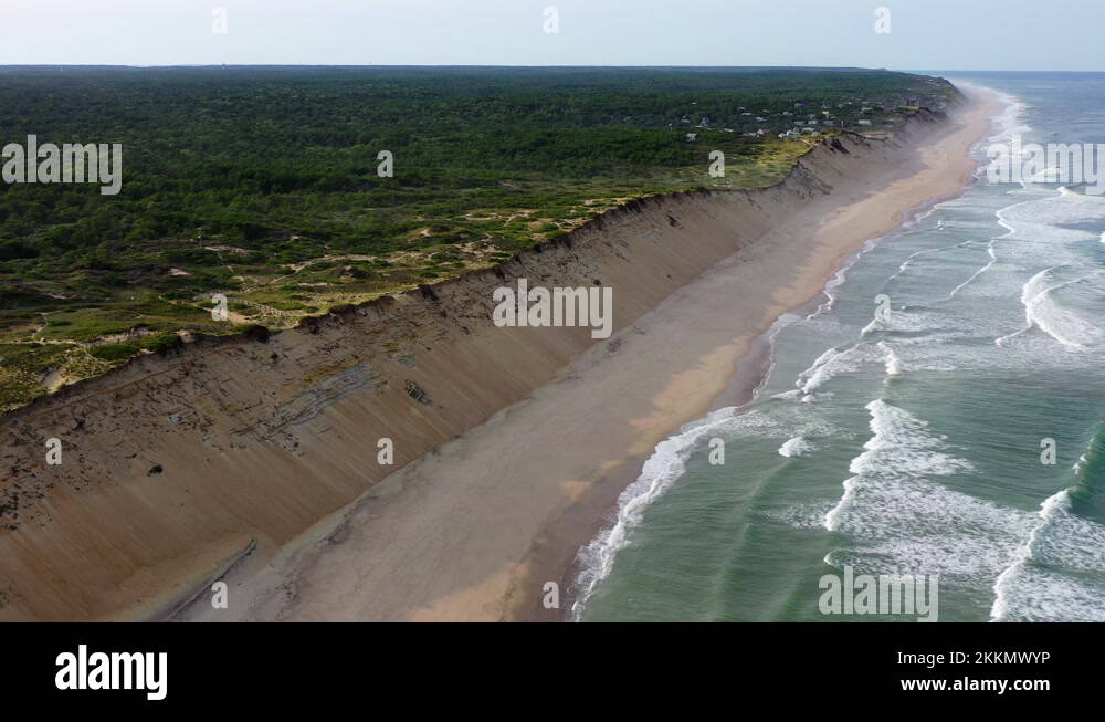 Plants on dunes Stock Videos & Footage - HD and 4K Video Clips - Alamy