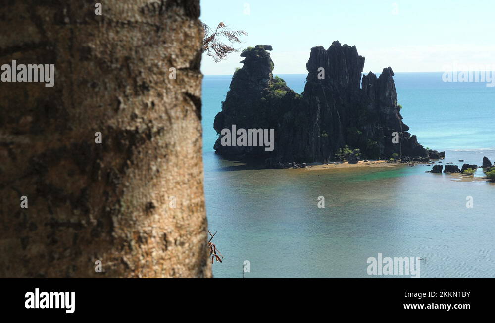 Brooding hen Stock Videos & Footage - HD and 4K Video Clips - Alamy