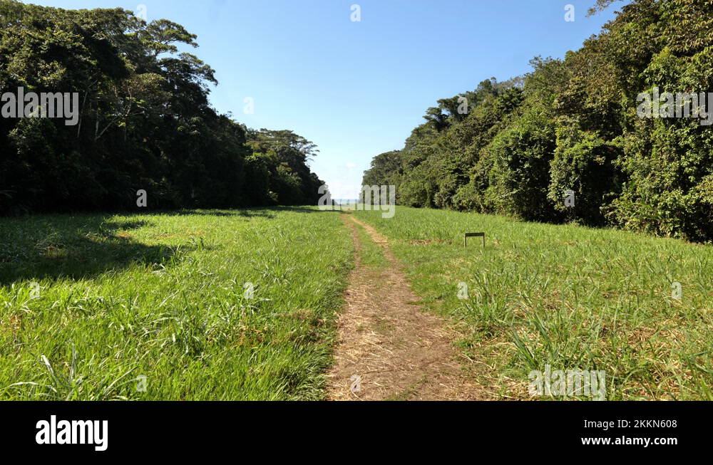 Costa rica sirena station Stock Videos & Footage - HD and 4K Video ...